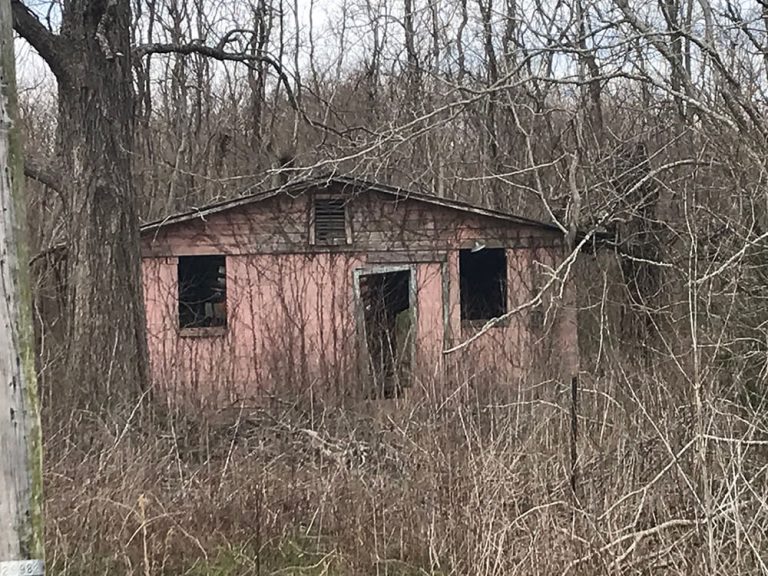 The Disappearance of Joseph Edwards - LSU Cold Case Project